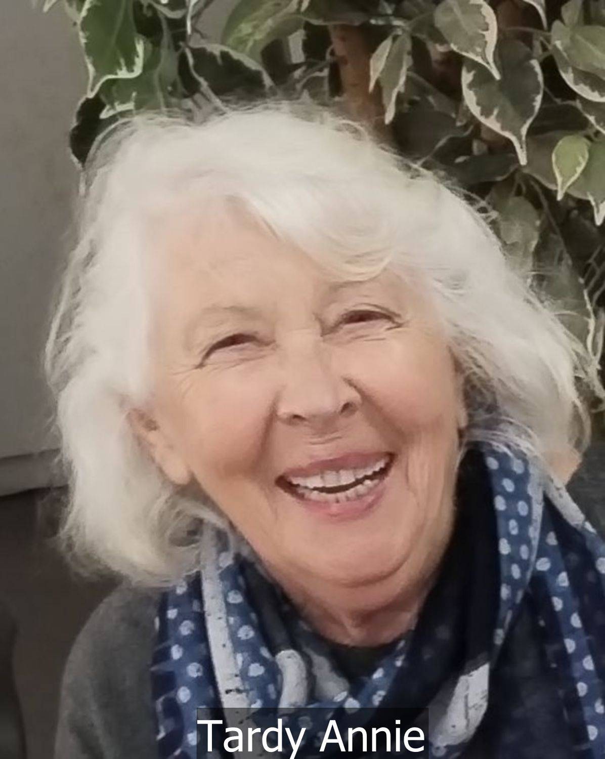 Club de bridge de Saint Mandrier - Trombinoscope